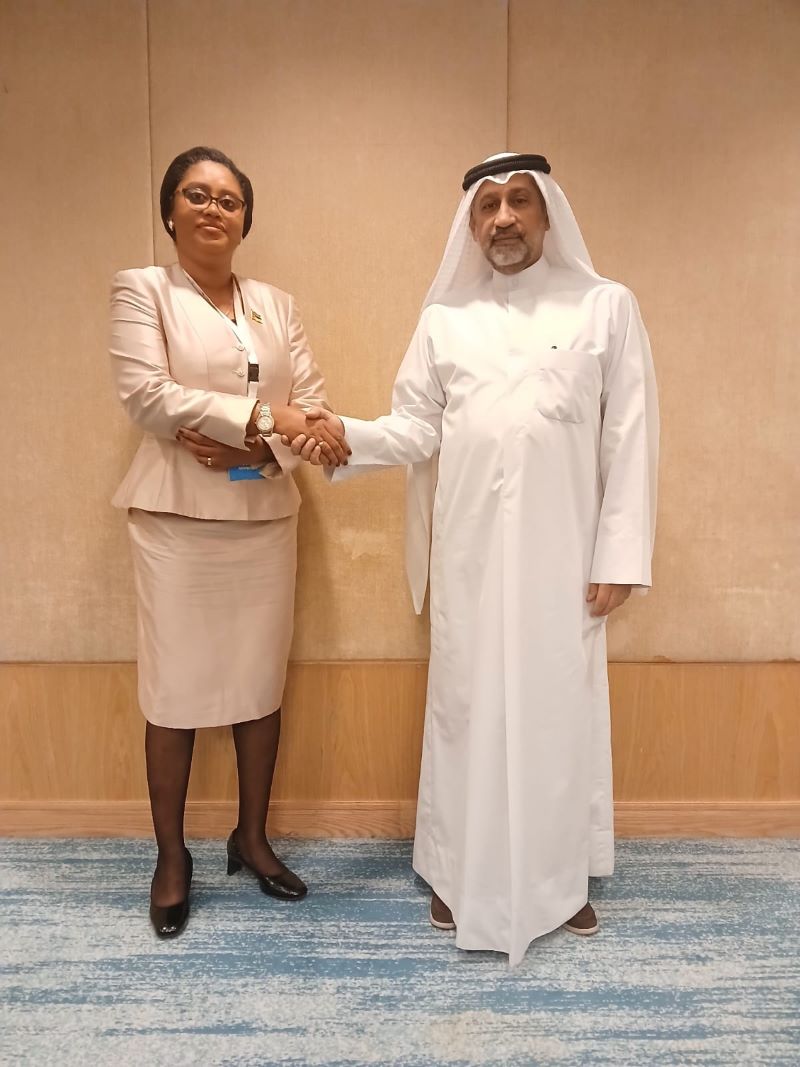 Ministra das Finanças revê o portofolio de Projectos com Novo ...